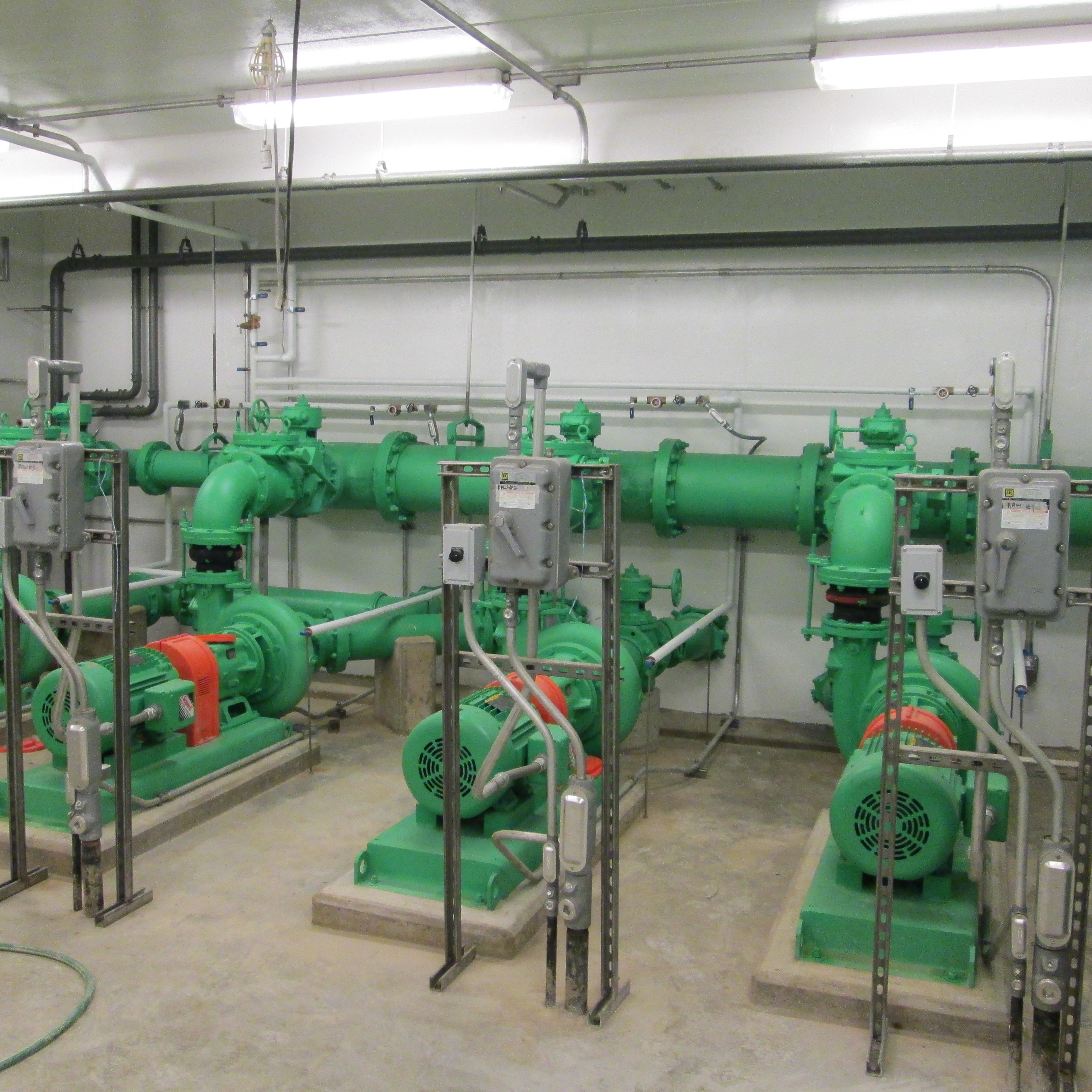 Struvite Removal | Struvite Remover | Struvite Prevention